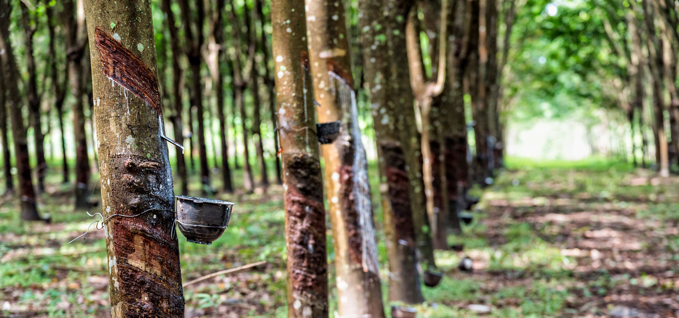 How Rubber Is Sourced And Used - AirBoss Of America