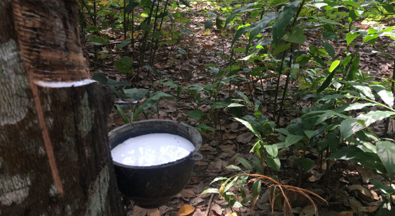 How Rubber Is Sourced & Used Across Industries | AirBoss