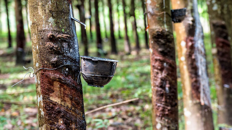 How Rubber Is Made For Industrial Uses - AirBoss Of America